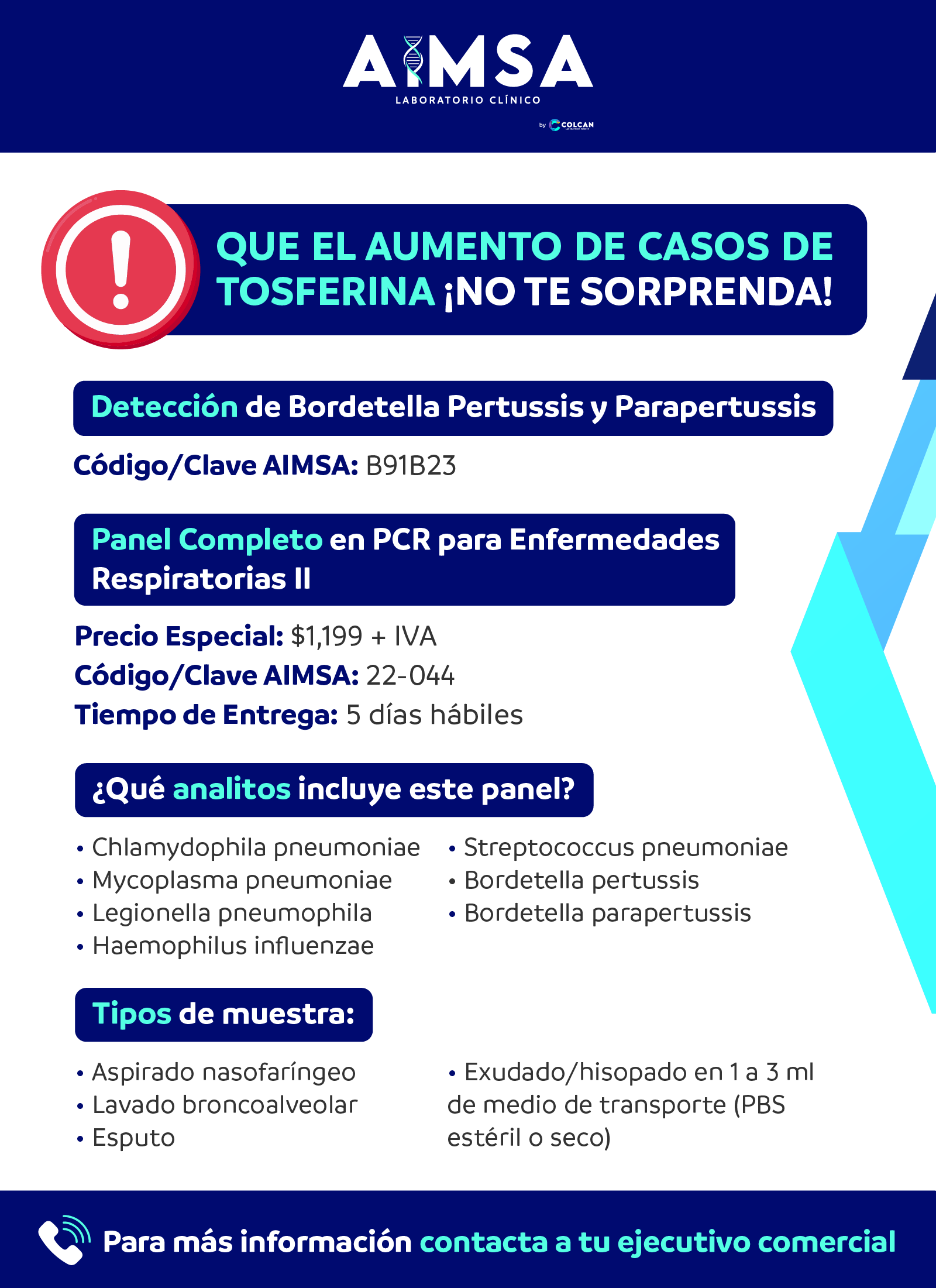 promocion 1 – Aimsa